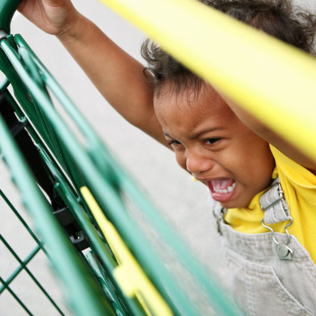 Tips on How to Tame Temper Tantrums - The Step by Step School